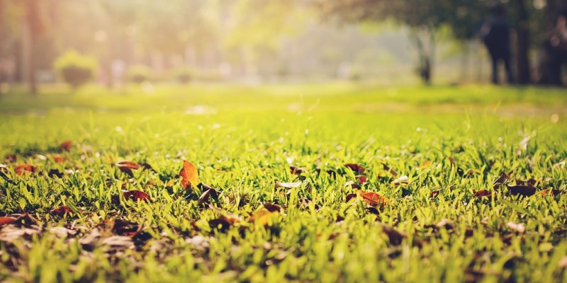 Prophet Muhammad – Islam Explained